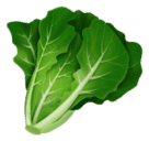🥬 Emoji Sayuran hijau (leafy green) beserta penggunaanya - Dunia Emoji ...