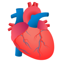 🫀 Emoji Hati anatomis (anatomical heart) beserta penggunaanya - Dunia ...